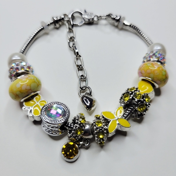 Chill Charms Of Texas | Jewelry | Nwt Pandora Style Charm Bracelet ...